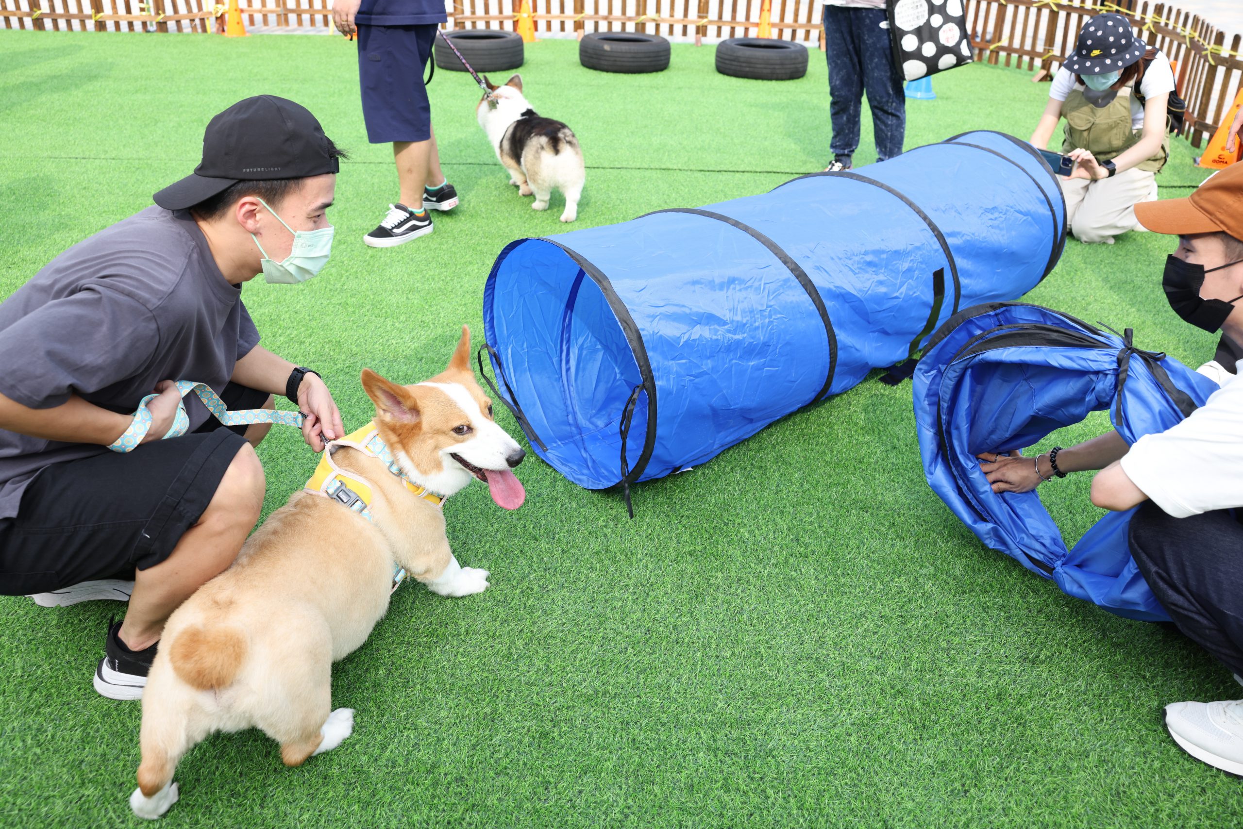 Lisboeta Macau H853 Fun Factory andMacau Association For Stray Dogs And ...